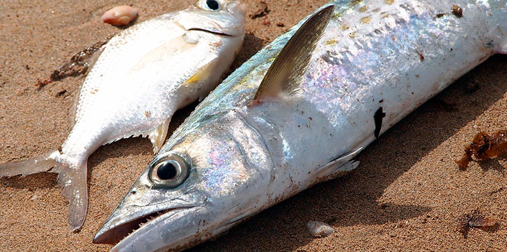 Hombre ha vivido con una tijera dentro de su cuerpo por más de 10 años ...
