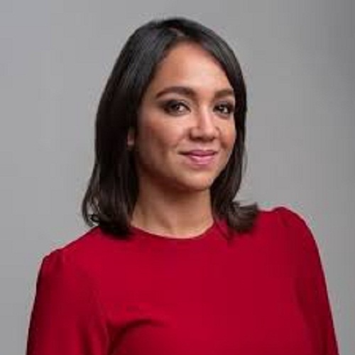 Faride Raful dice presidente CC debe rendirle cuentas a RD antes de ...