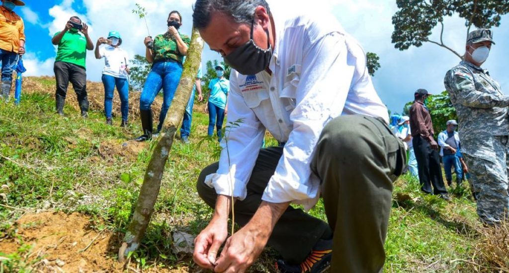 Ministerio de Medio Ambiente realiza jornada de reforestación en ríos ...