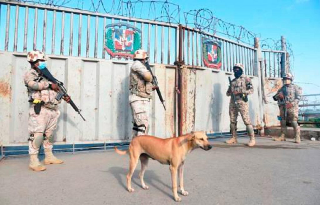 Imagen de perro “Firulais” tomada por fotógrafo de Diario Libre se hace ...