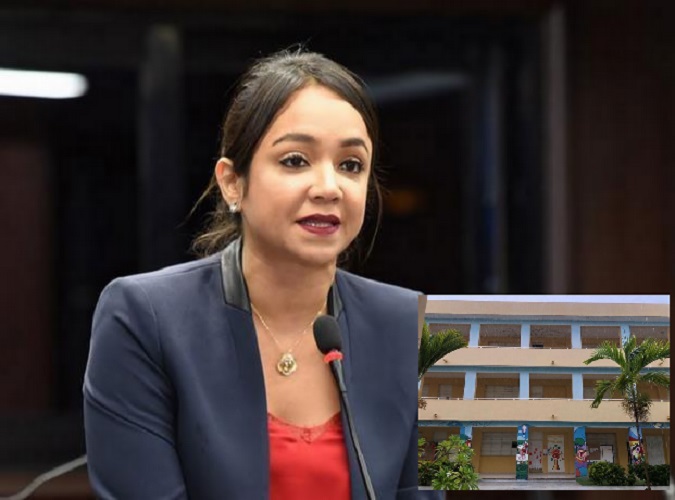 Faride dice el 70 por ciento de escuelas construidas en el DN no tiene ...