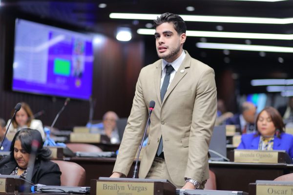 Bray Vargas a diputados: “No se van a llevar esa curul para su casa ...