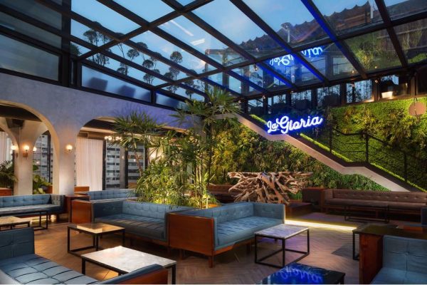 Discotecas Amazonía, Cielo, Distrito 151 y La Gloria cierran ...