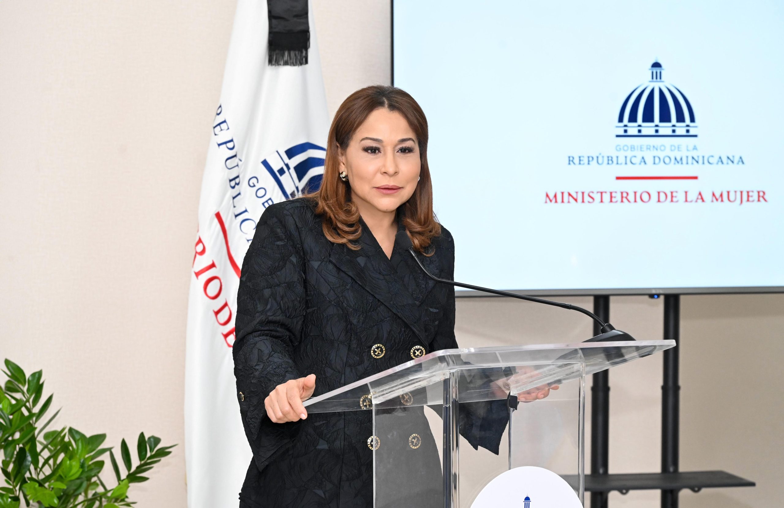 Entidad dice proyecto Código Penal vulnera derechos de las mujeres; pide incluir las tres ...