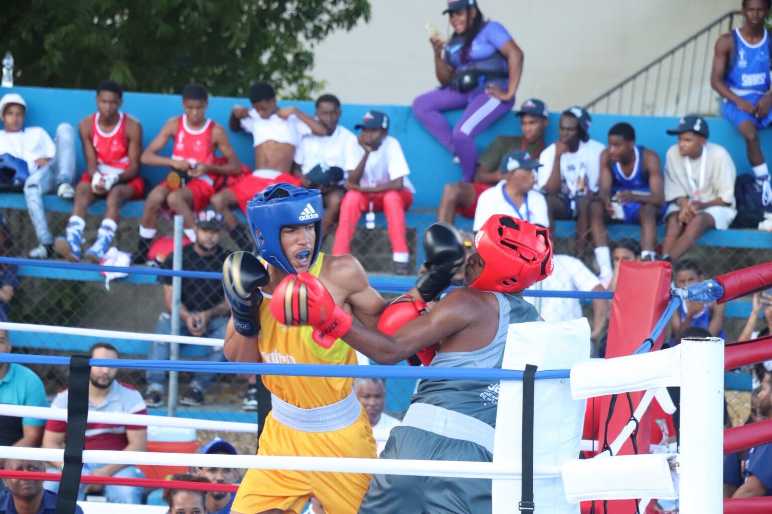 Trece combates decidirán a los campeones de boxeo en los juegos ...